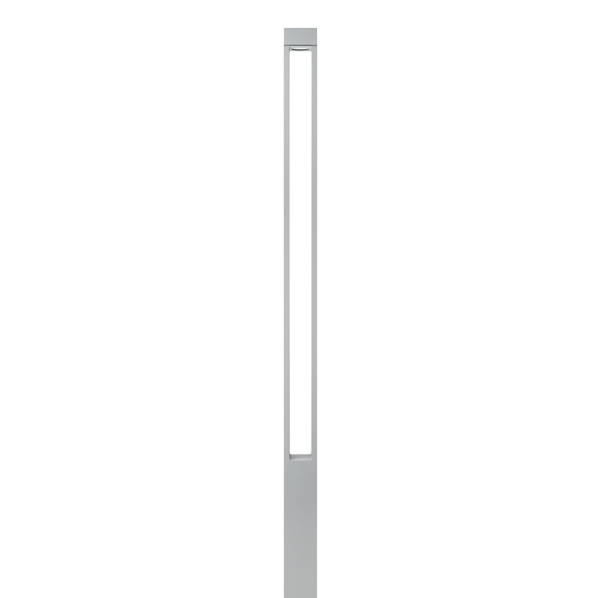 BICEPS Light Column - Zodiac Lighting