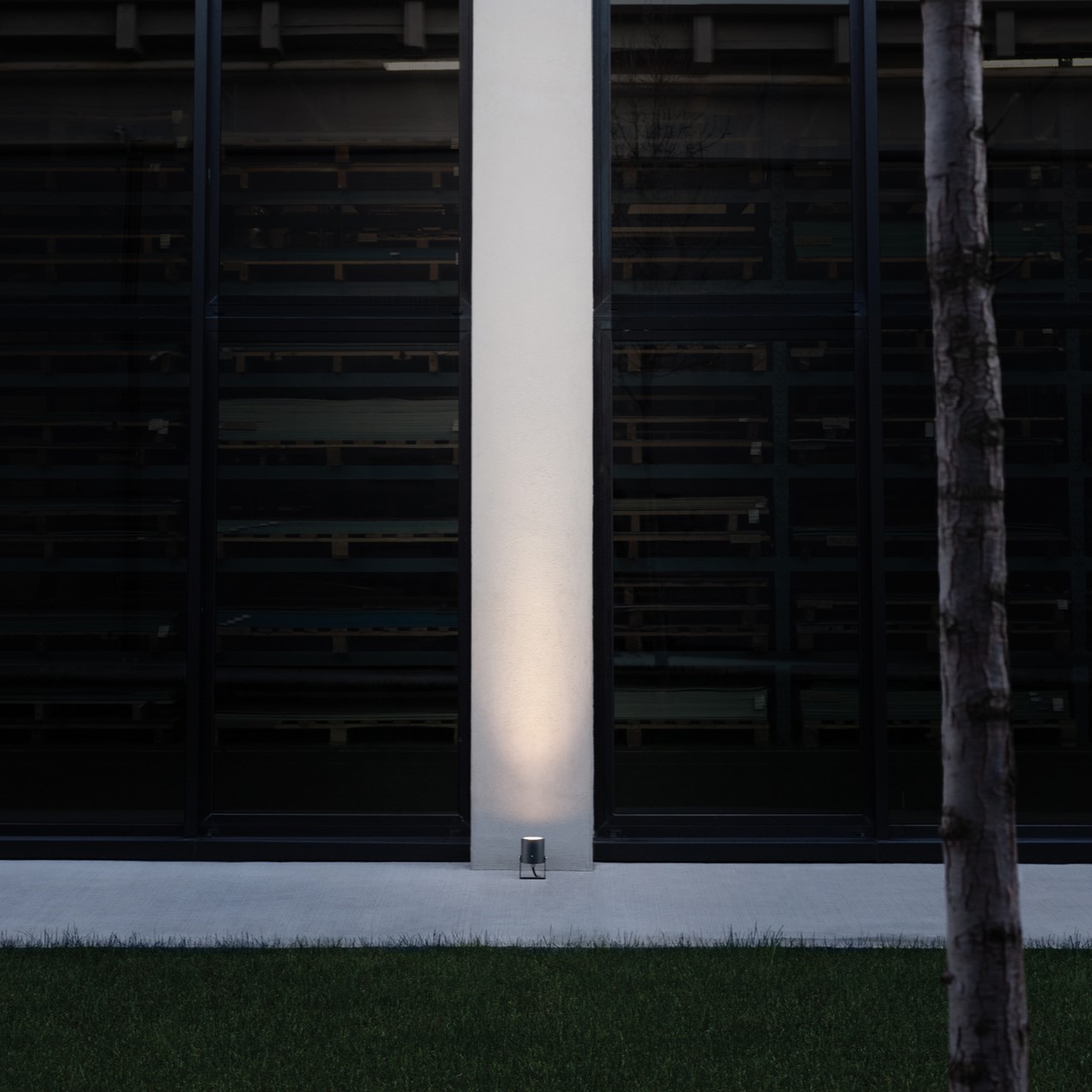 Pad - Zodiac Lighting