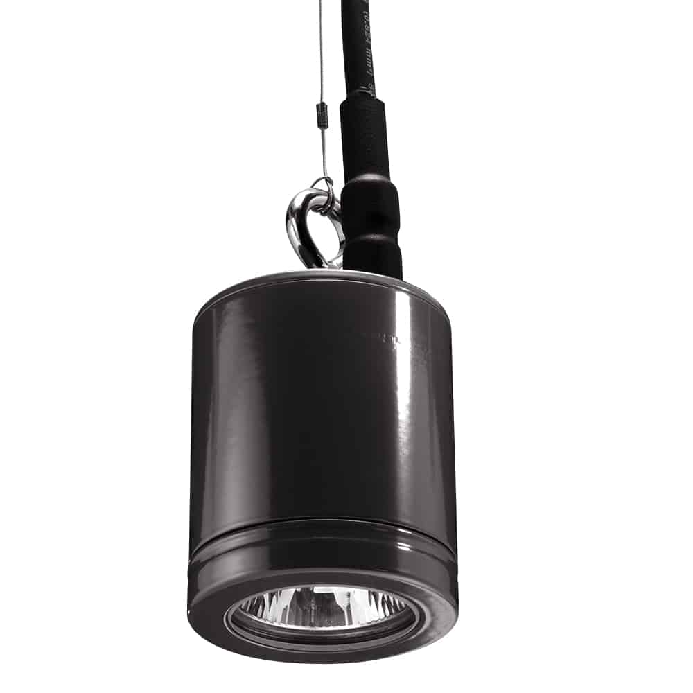 Hanging Light - Zodiac Lighting