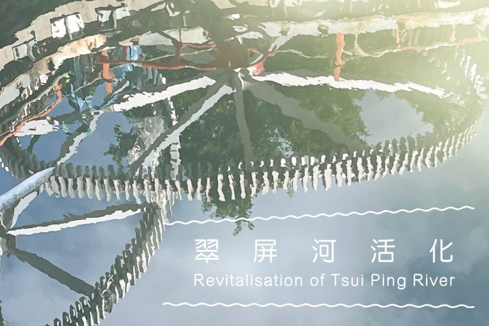Revitalisation Of Tsui Ping River - Zodiac Lighting