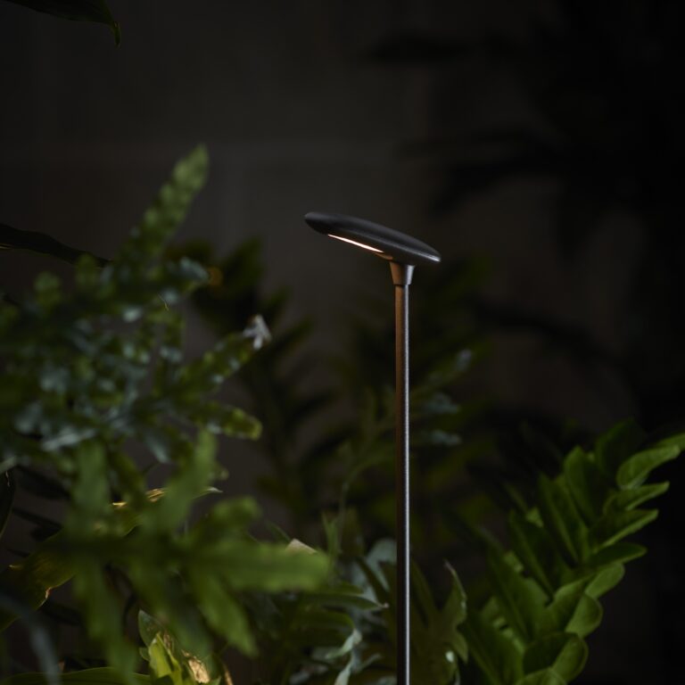 Birdie - Zodiac Lighting