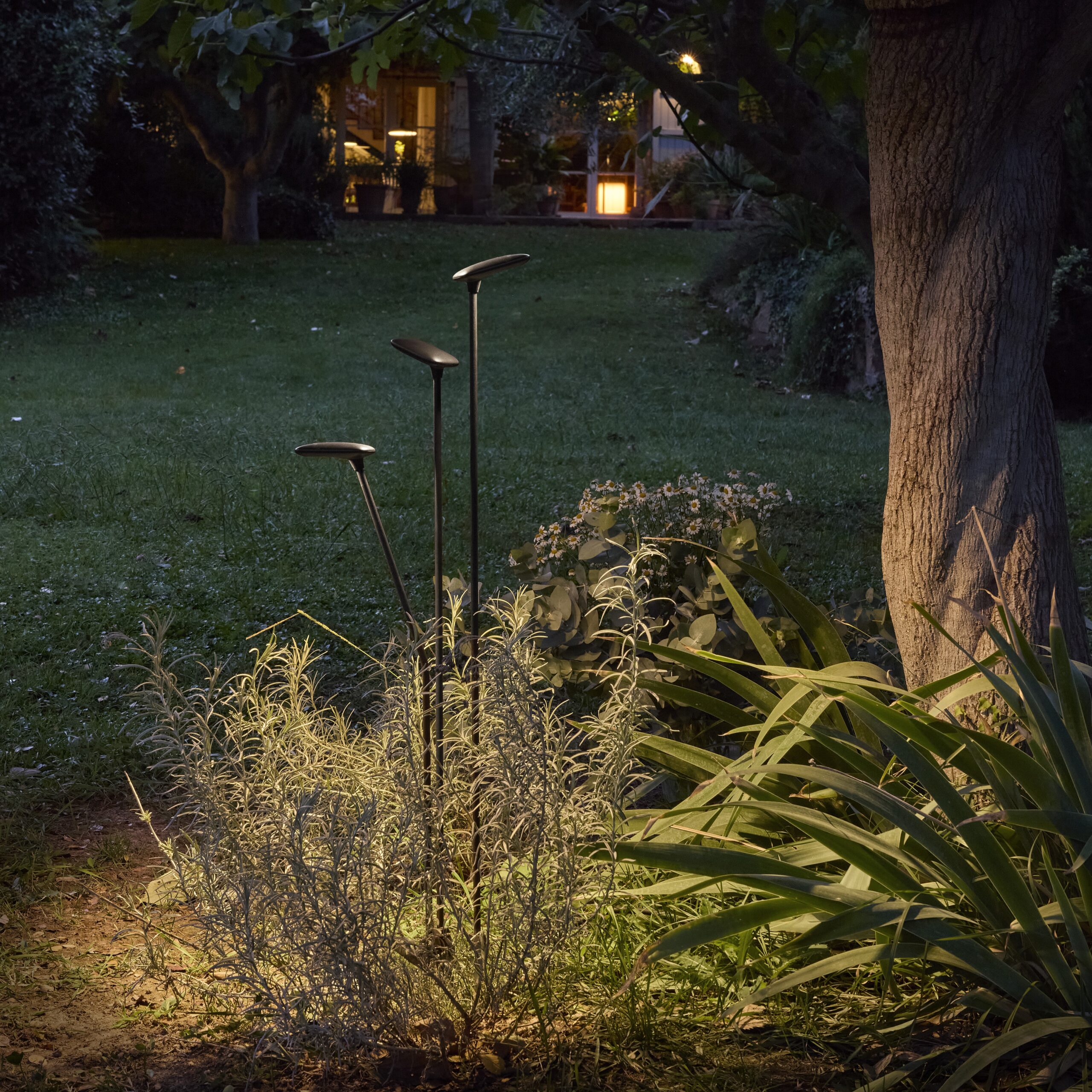 Birdie Set 3 - Zodiac Lighting