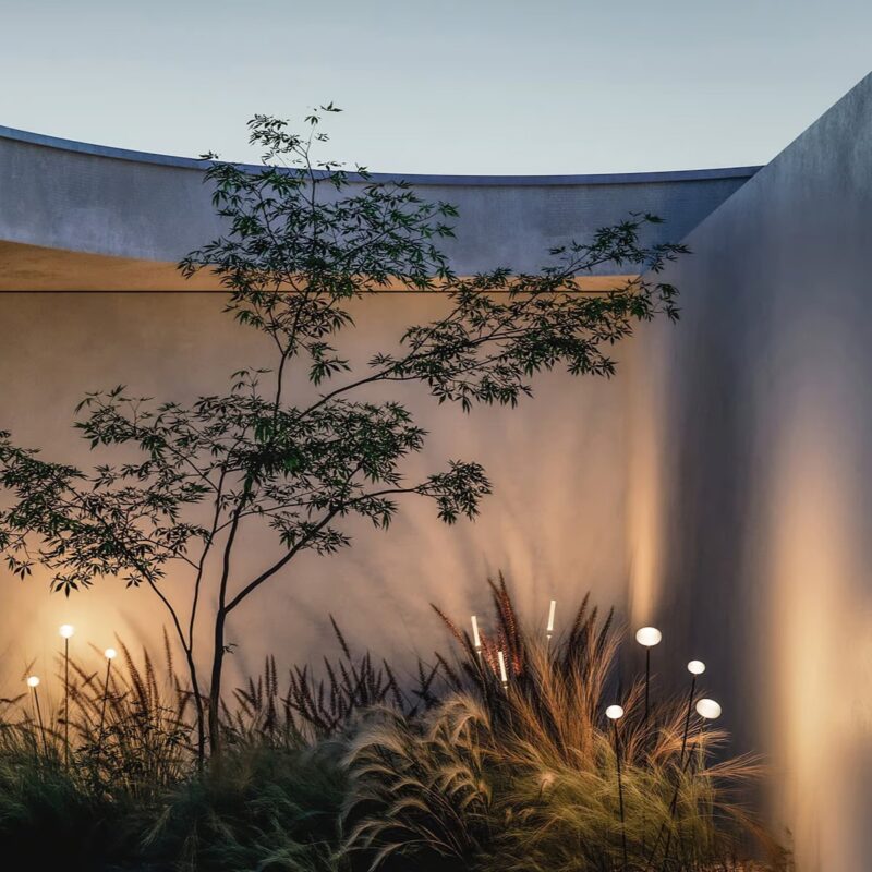 Reed - Zodiac Lighting